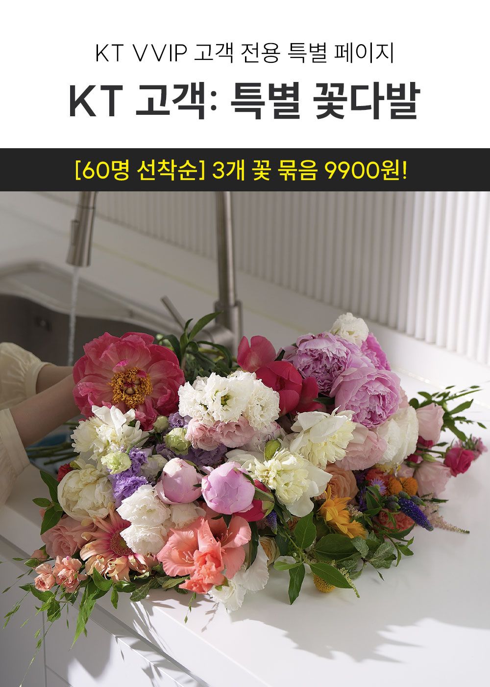 [KT VVIP] 시즌 랜덤 꽃다발